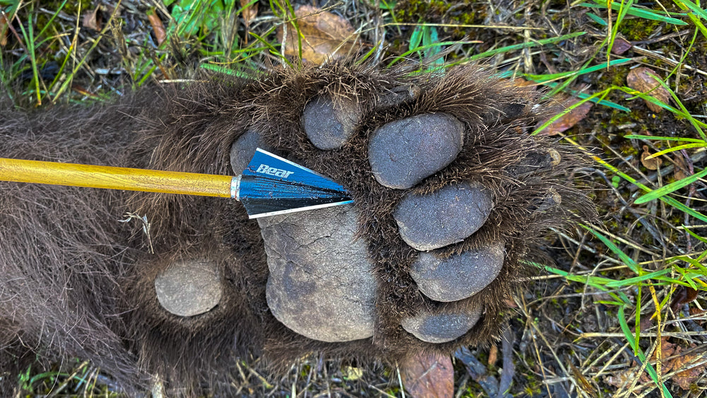 Bear Archery - Official Site - Bowhunting & Archery Equipment