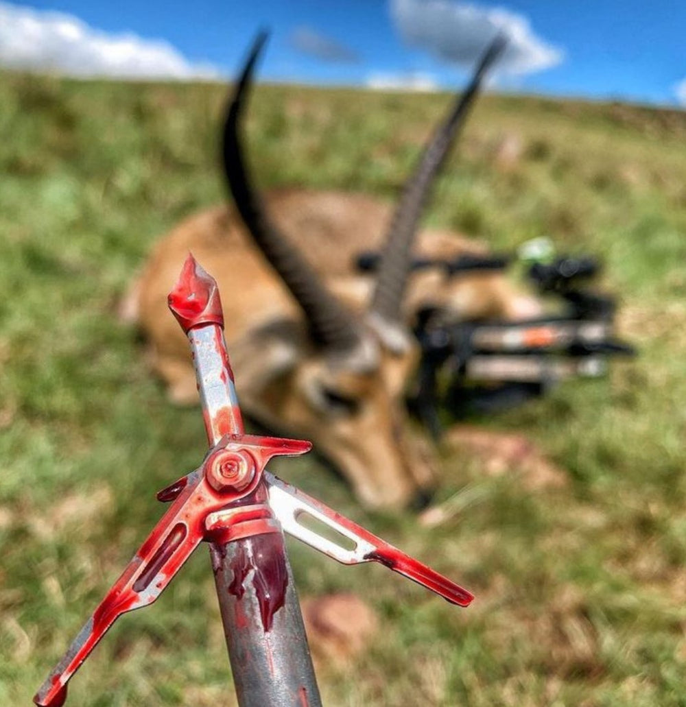 SIK Broadheads - Mechanical & Fixed Broadheads – Bear Archery