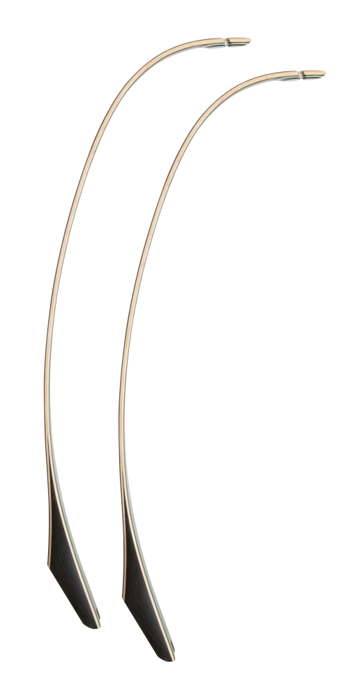 Take Down Limbs Green Glass – Bear Archery